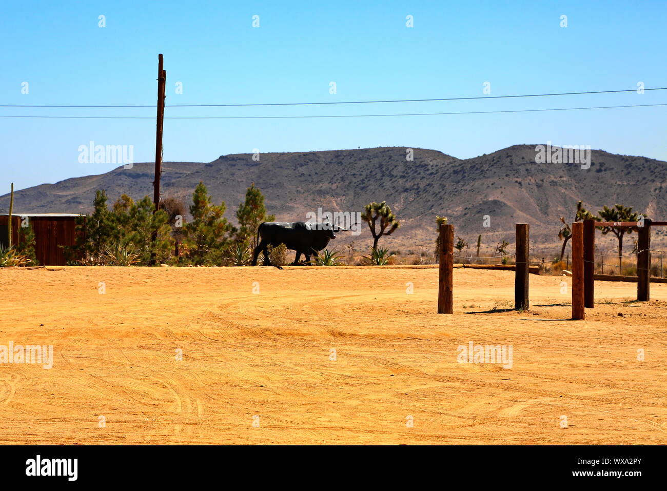Pioneertown joshua tree hi-res stock photography and images - Alamy