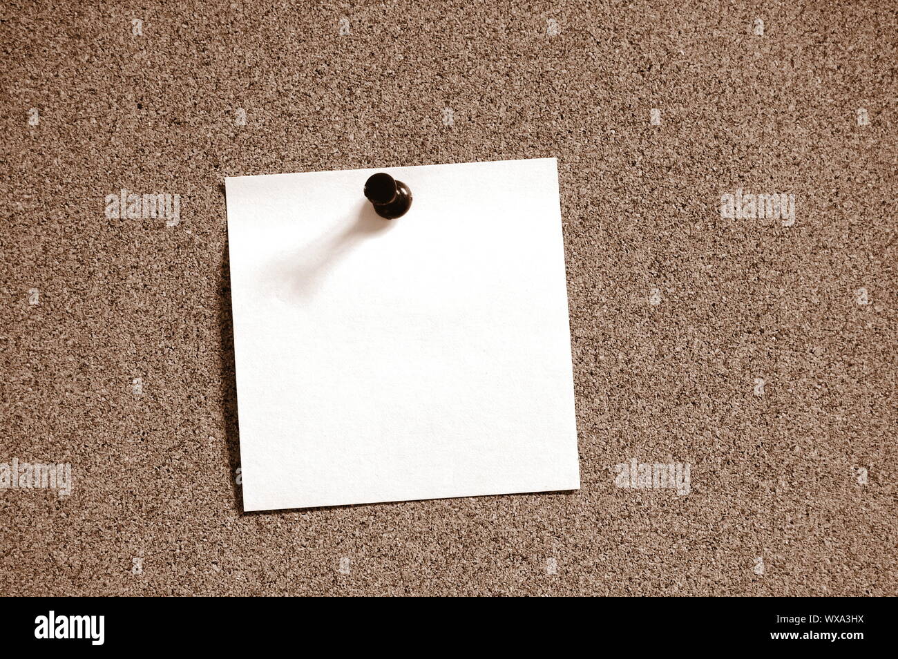 blank and empty sheet paper with pin on bulletin board Stock Photo - Alamy