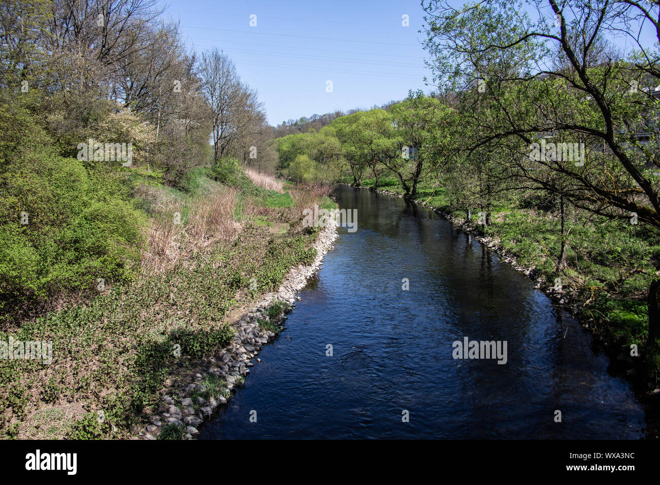 Riverside with trees hi-res stock photography and images - Alamy