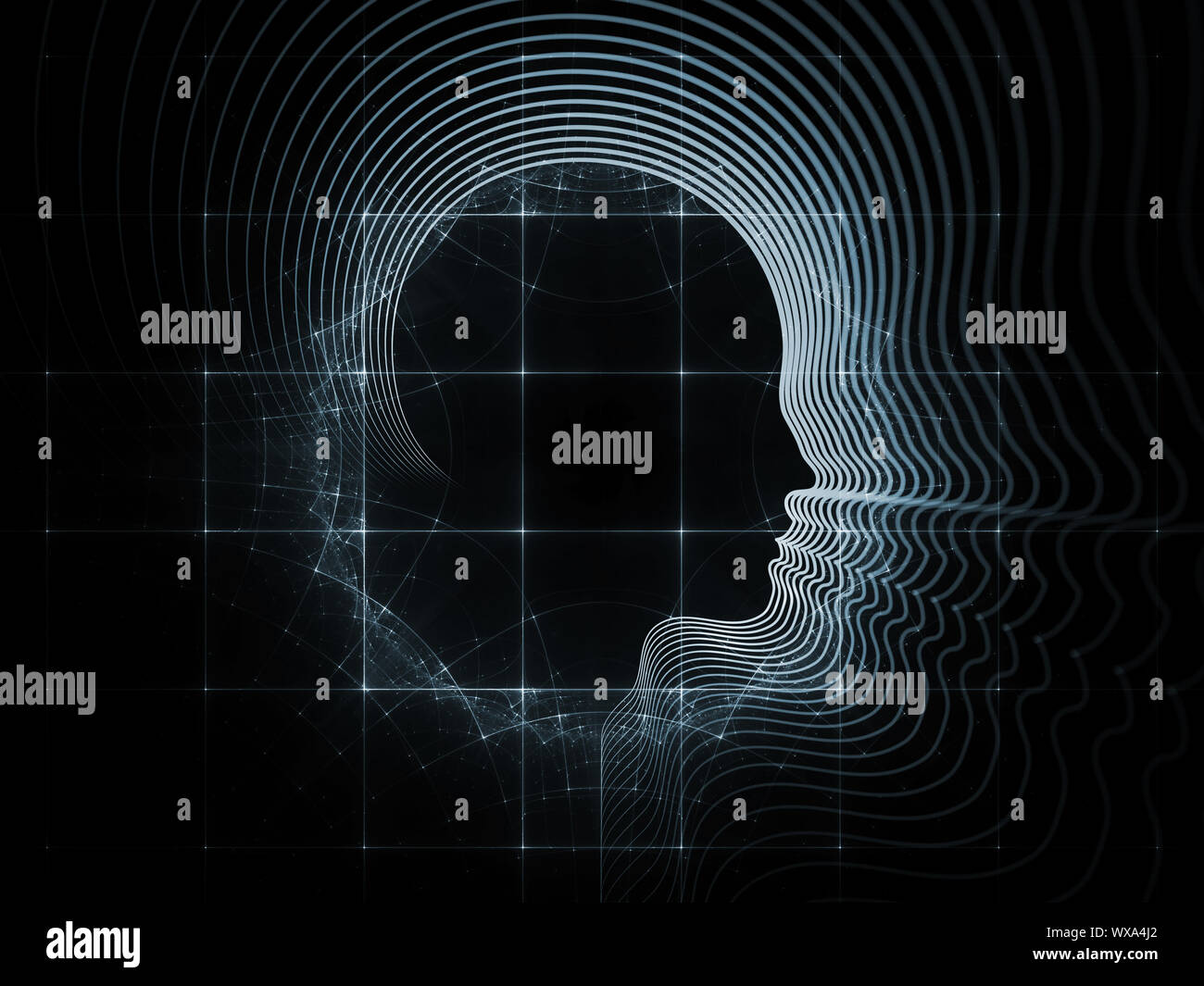 Composition of human head and fractal grids on the subject of ...