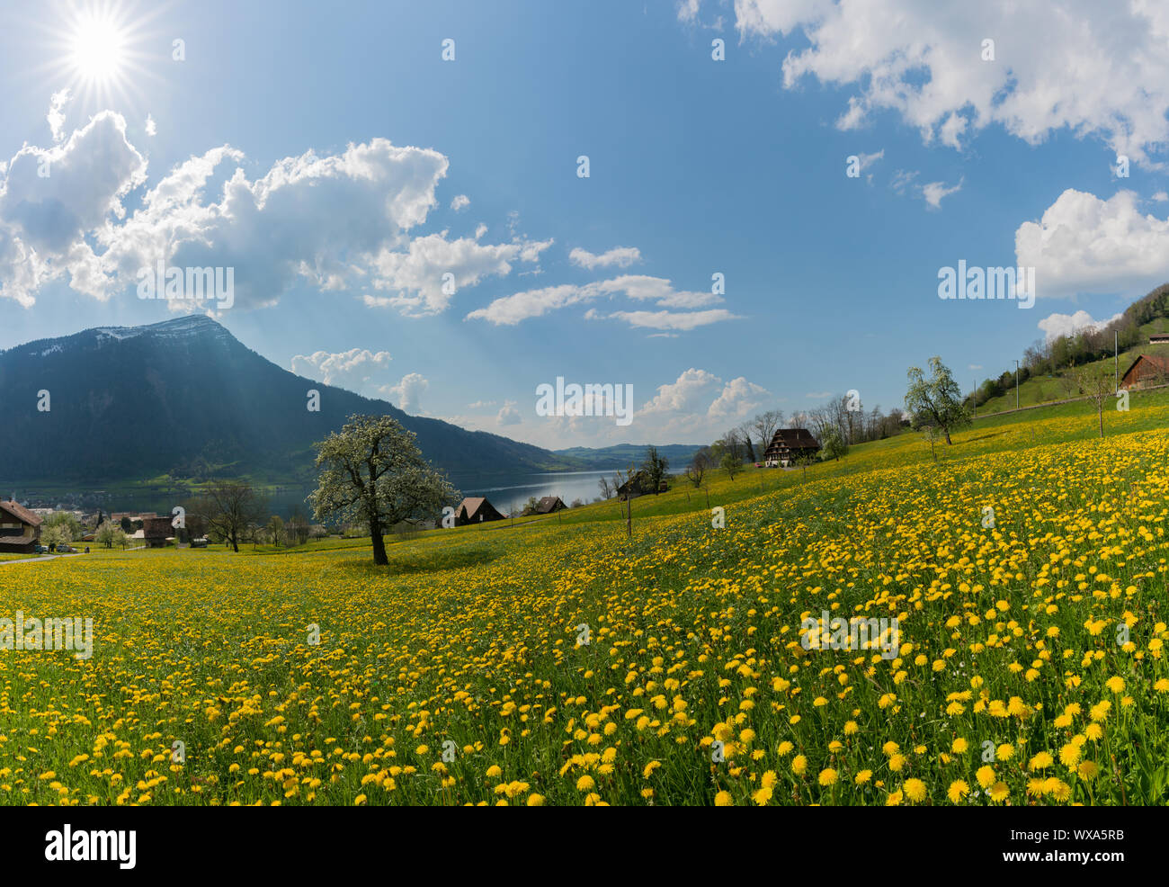 idyllic Swiss countryside with traditional farm in a lake and mountain ...