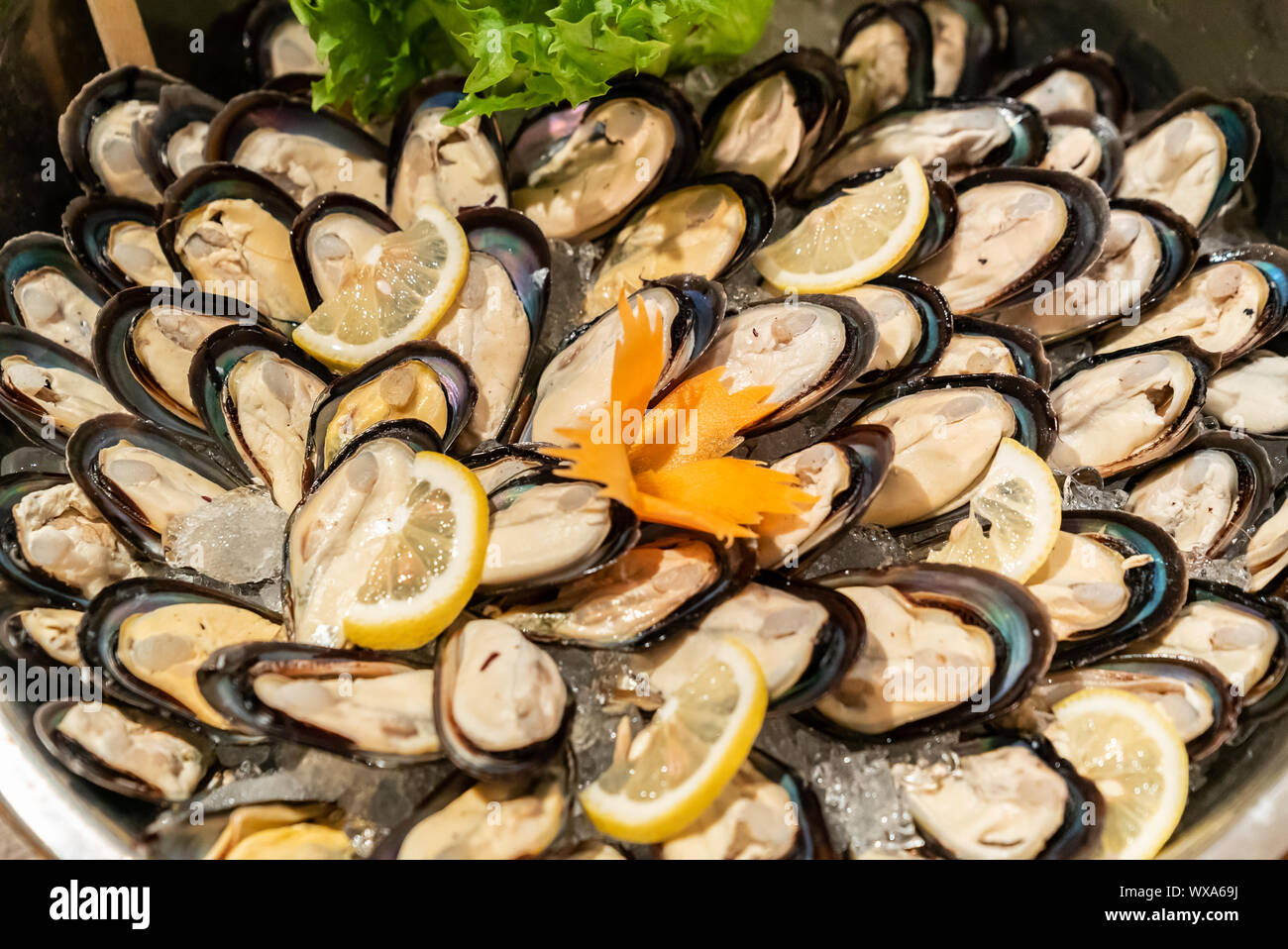 Frozen mussel hi-res stock photography and images - Alamy