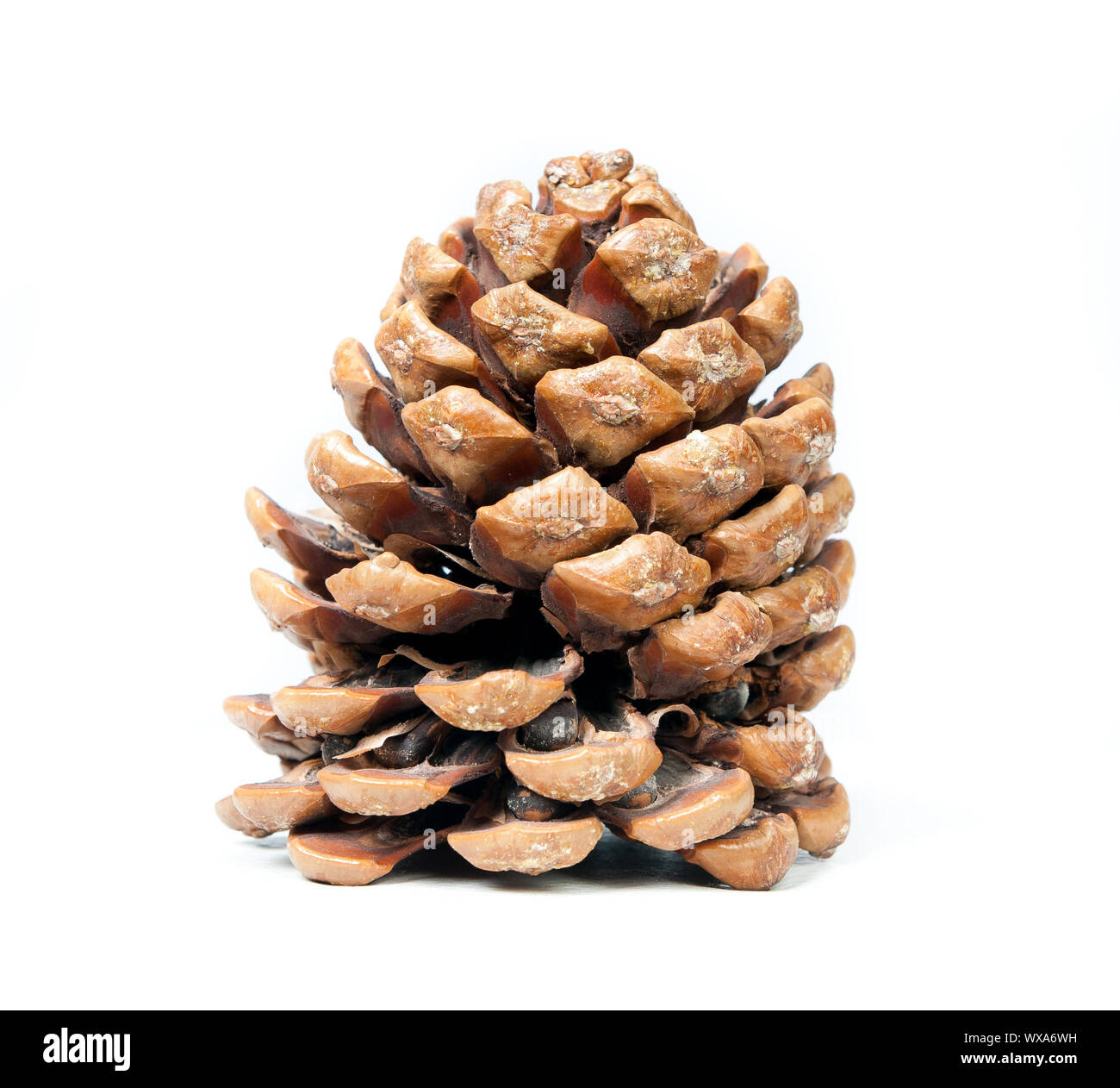 4667 hi-res stock photography and images - Alamy