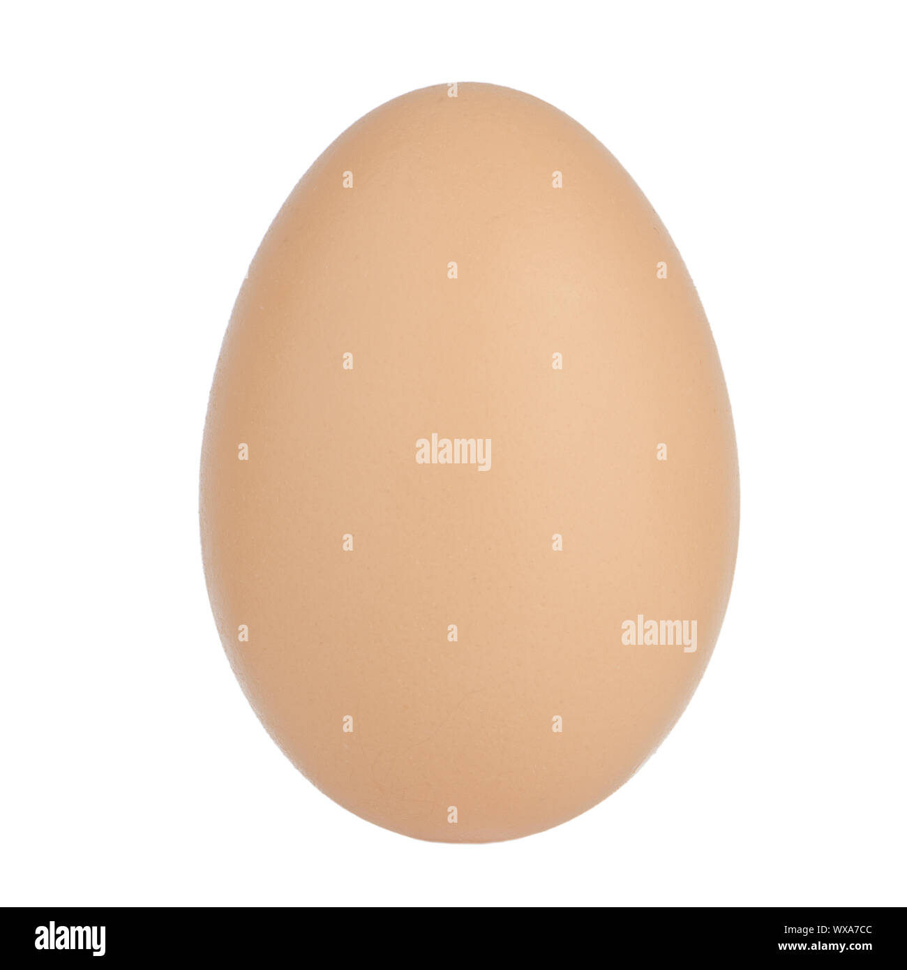 Close up of egg isolated on white background Stock Photo - Alamy