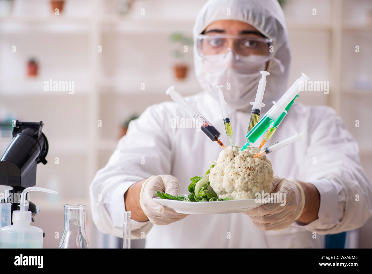 Scientist working in lab on GMO fruits and vegetables Stock Photo - Alamy