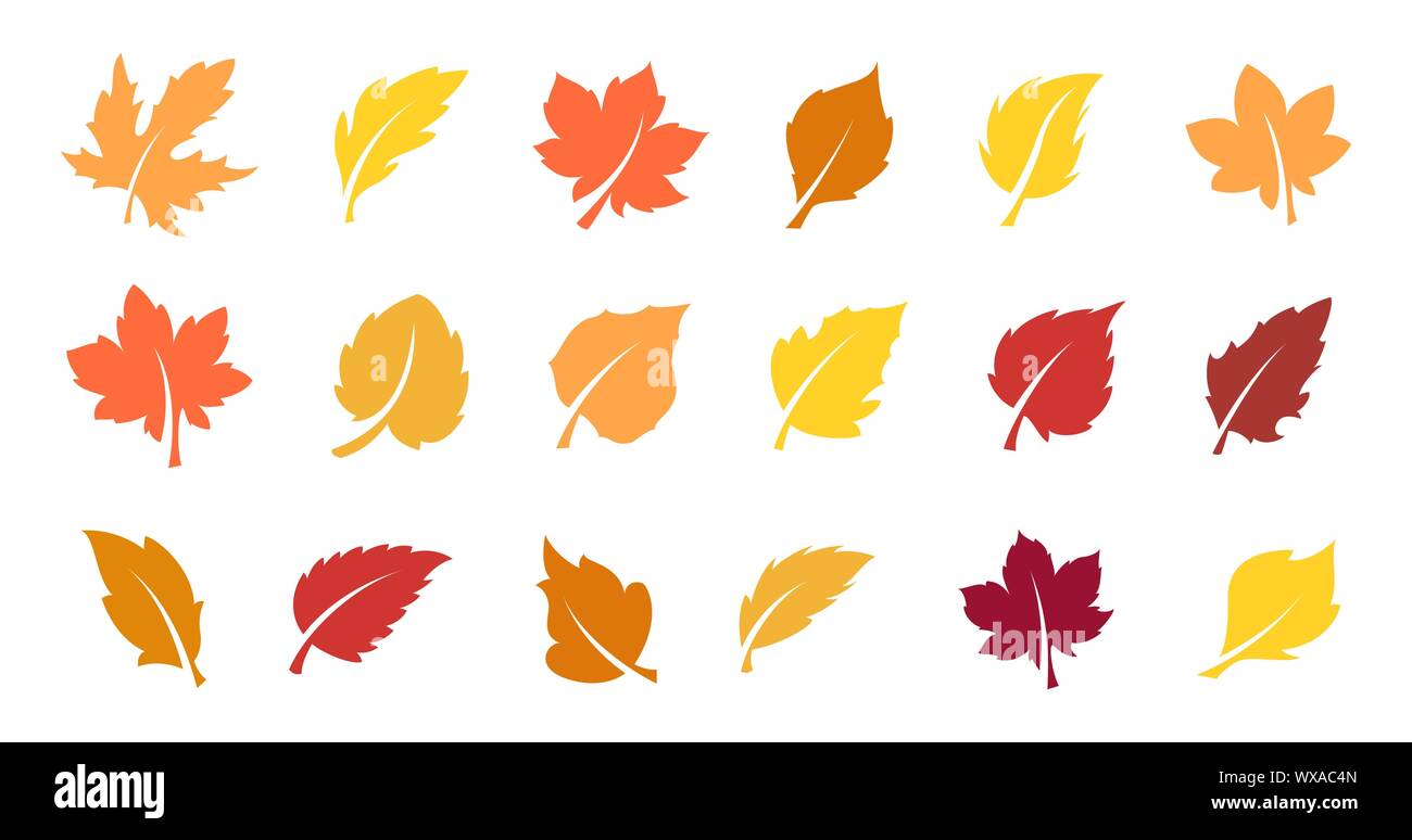 Autumn leaves set Stock Vector Image & Art - Alamy