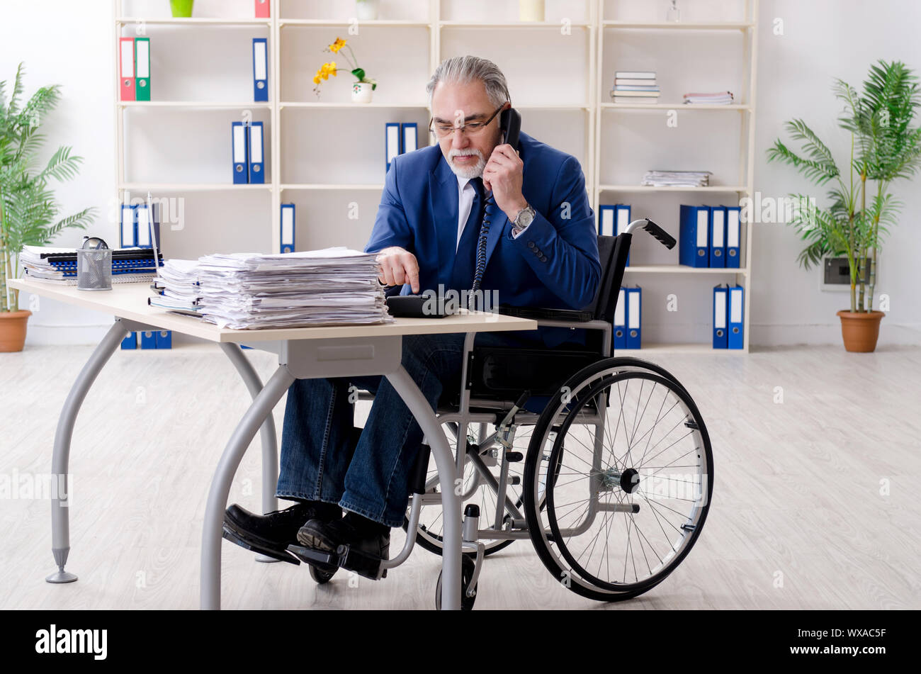 Aged employee in wheelchair working in the office Stock Photo - Alamy