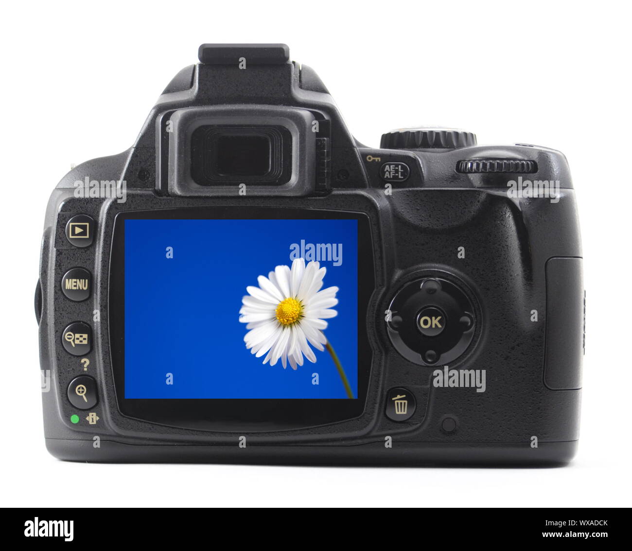 flower on digital camera display showing holidy travel or vacation ...