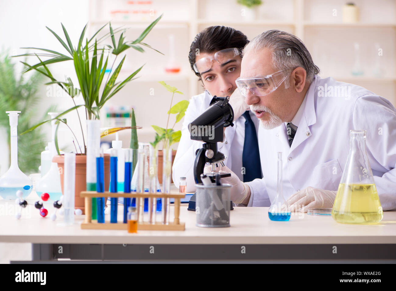 Two chemists working in the lab Stock Photo - Alamy