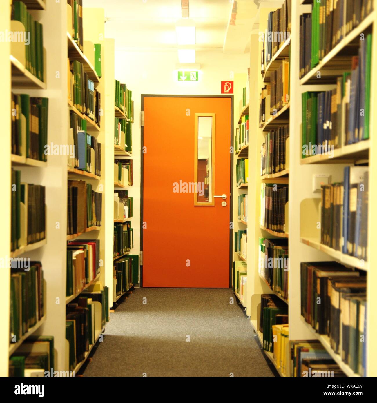 bookshelf of book shelf in a university library showing study concept ...