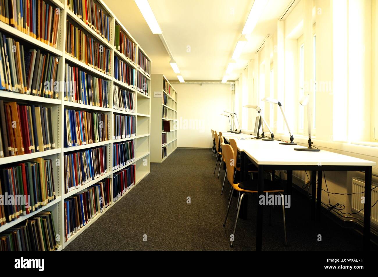 book in a library book shelf showing study concept Stock Photo - Alamy