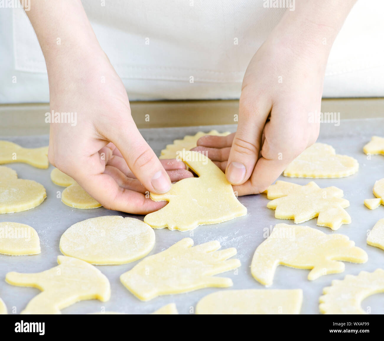 Chef putting tray cookies hi-res stock photography and images - Alamy