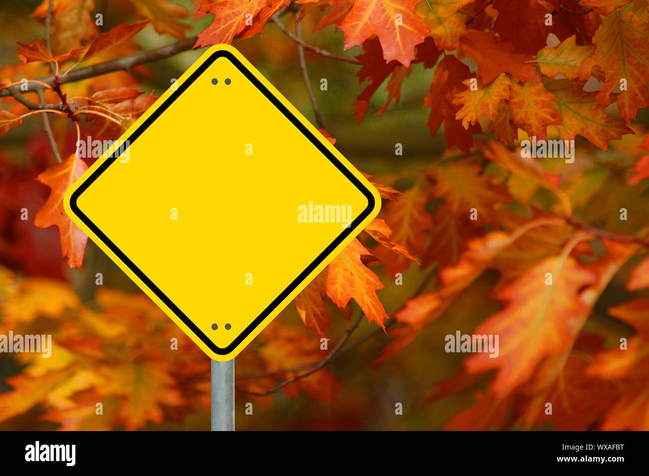 yellow warning sign with copyspace for a text message Stock Photo - Alamy