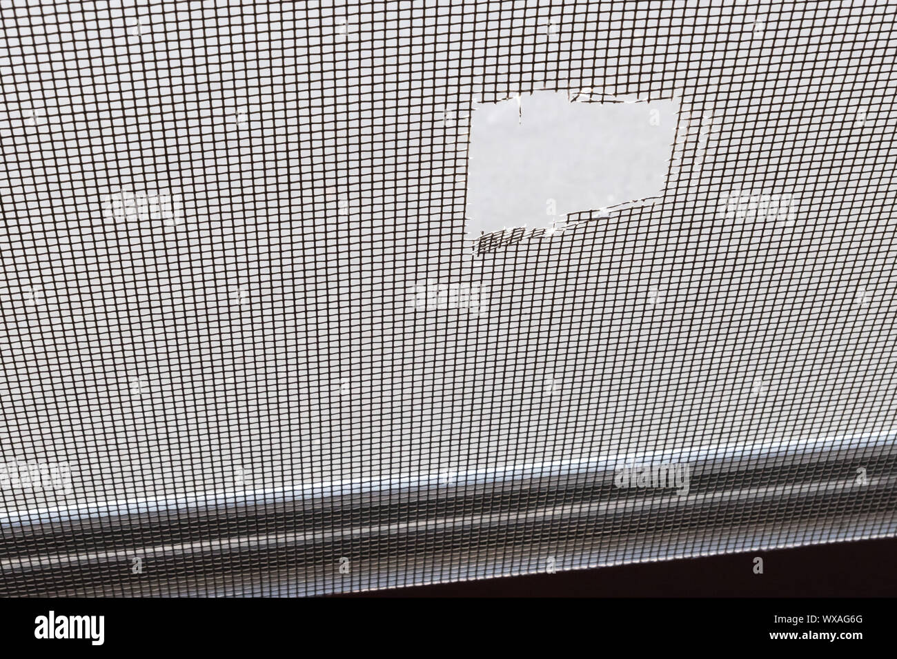 Insect door screen hi-res stock photography and images - Alamy