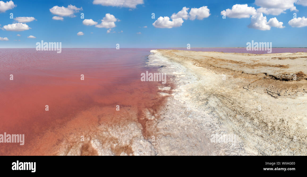 Pink salty Syvash Lake, Ukraine Stock Photo - Alamy