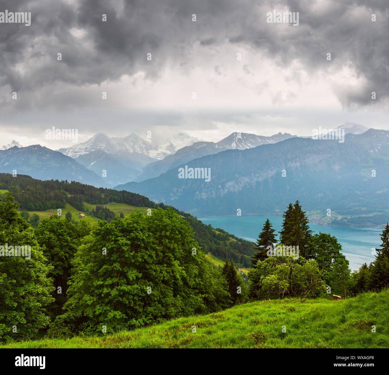 Lake Brienz summer top view (Switzerland Stock Photo - Alamy
