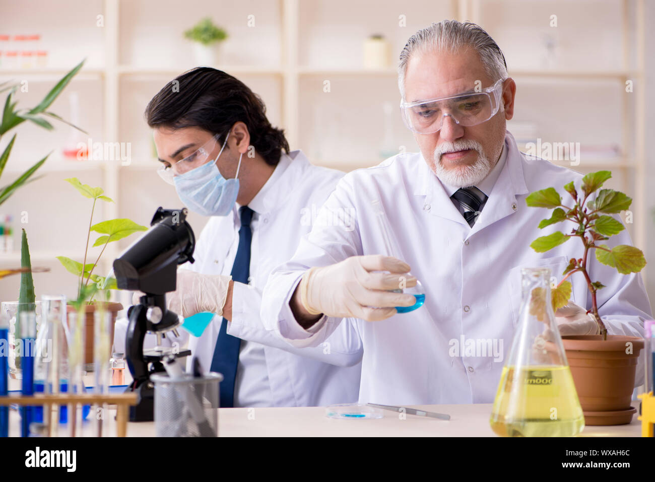 Two chemists working in the lab Stock Photo - Alamy