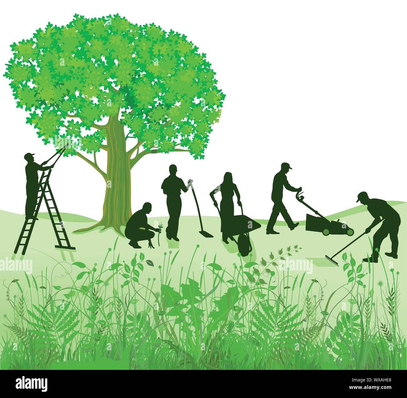 People working vegetable farm Stock Vector Images - Alamy