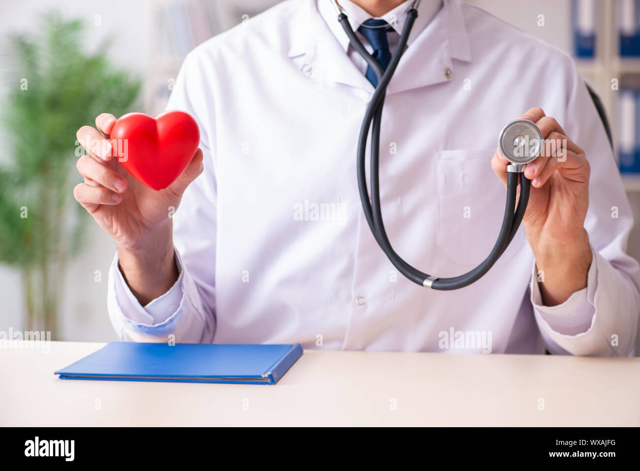 Male doctor cardiologist holding heart model Stock Photo - Alamy
