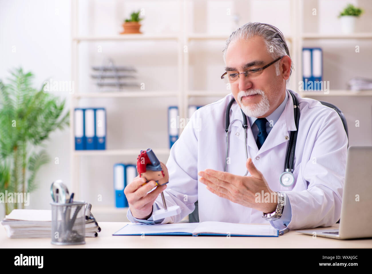 Aged male doctor cardiologist with heart model Stock Photo - Alamy