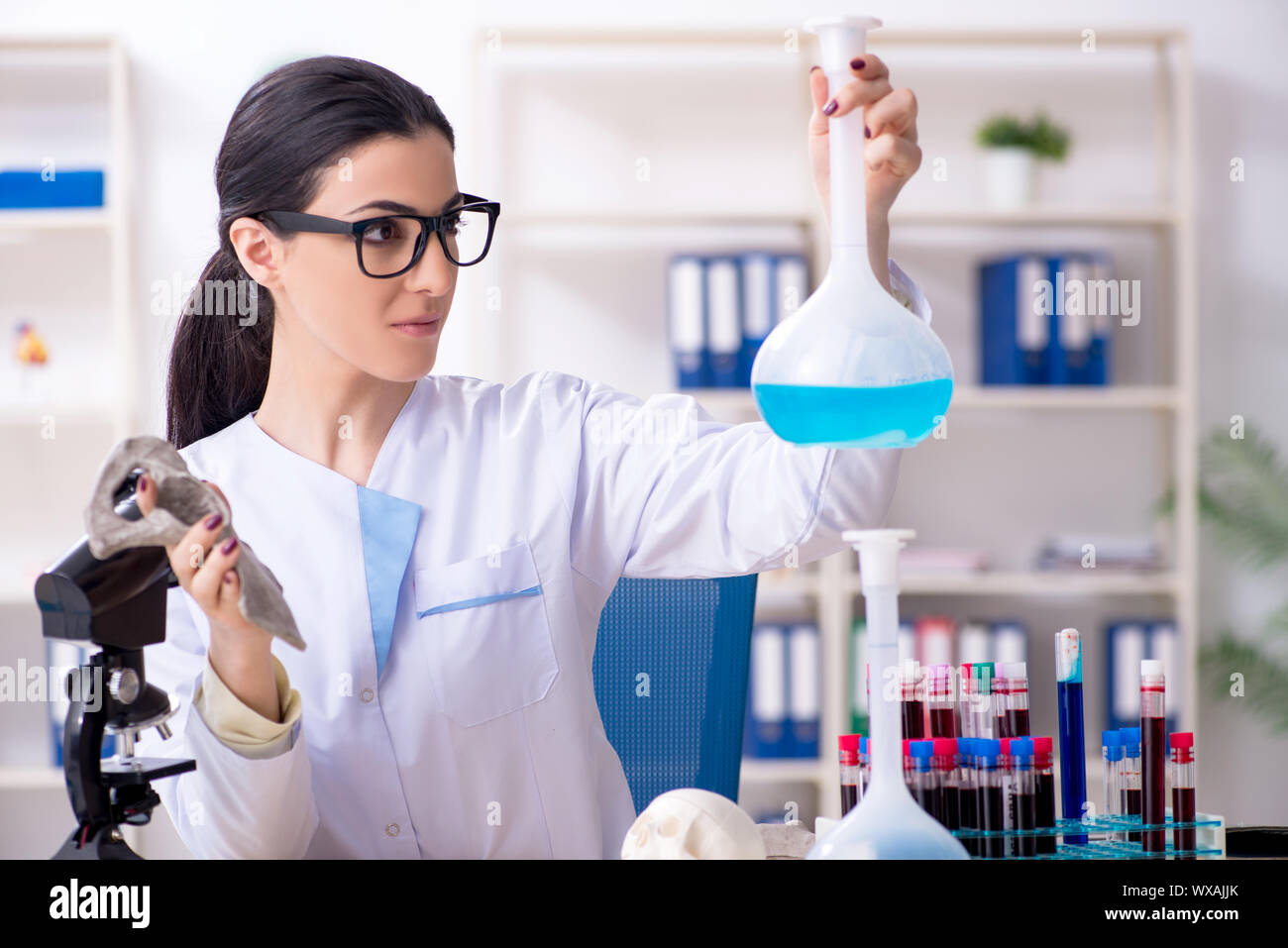 Young female archaeologist working in the lab Stock Photo - Alamy