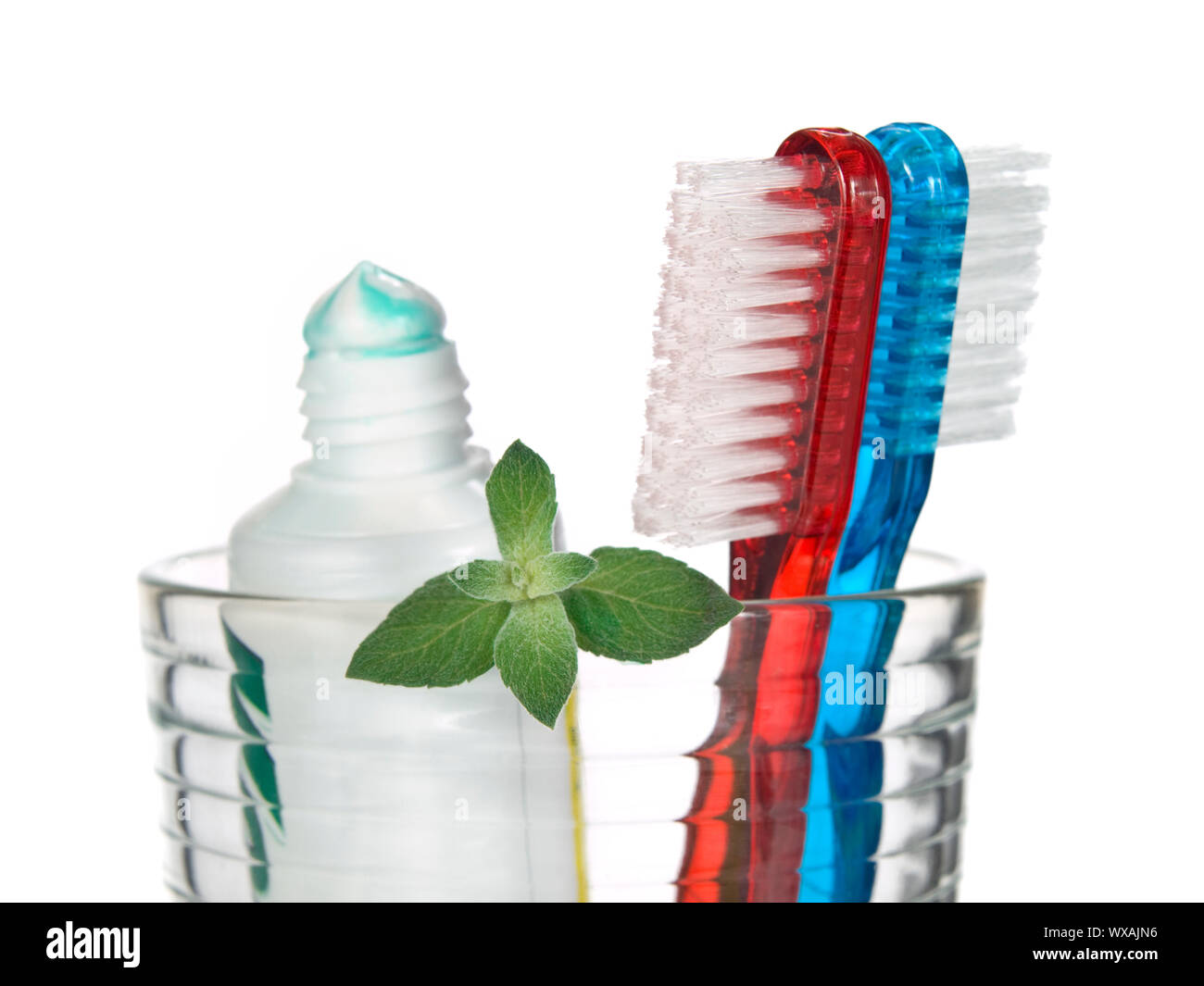 Toothbrushes, toothpaste and mint leaves in a glass over white ...