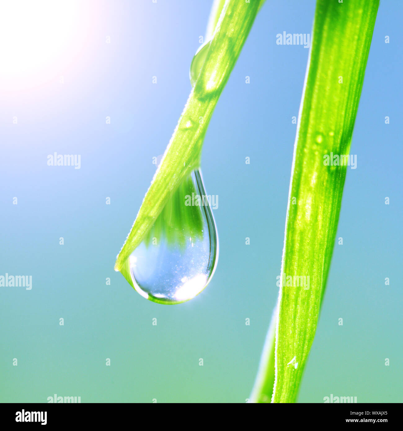 water drop shine in sun light Stock Photo - Alamy