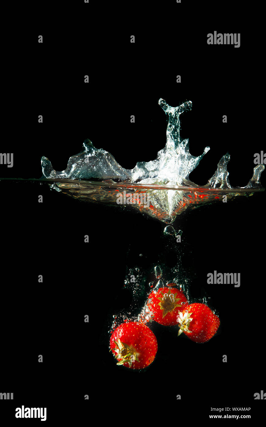 4287 hi-res stock photography and images - Alamy