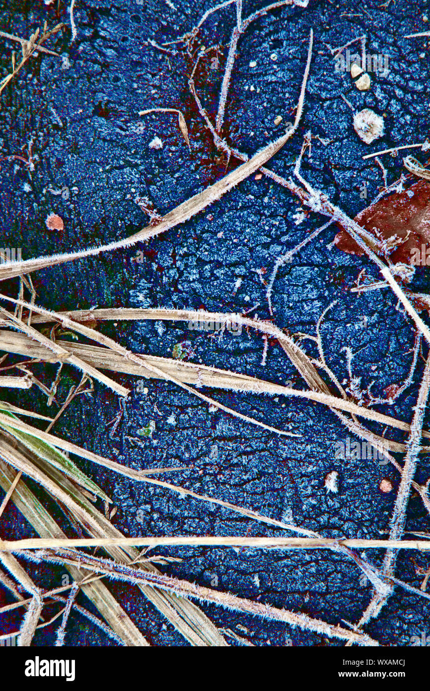Freeze solid ground until blue and frosted grass Stock Photo - Alamy