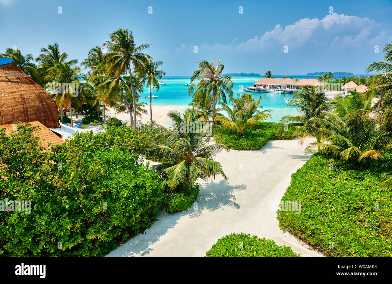 Tropical beach with palm trees Stock Photo - Alamy