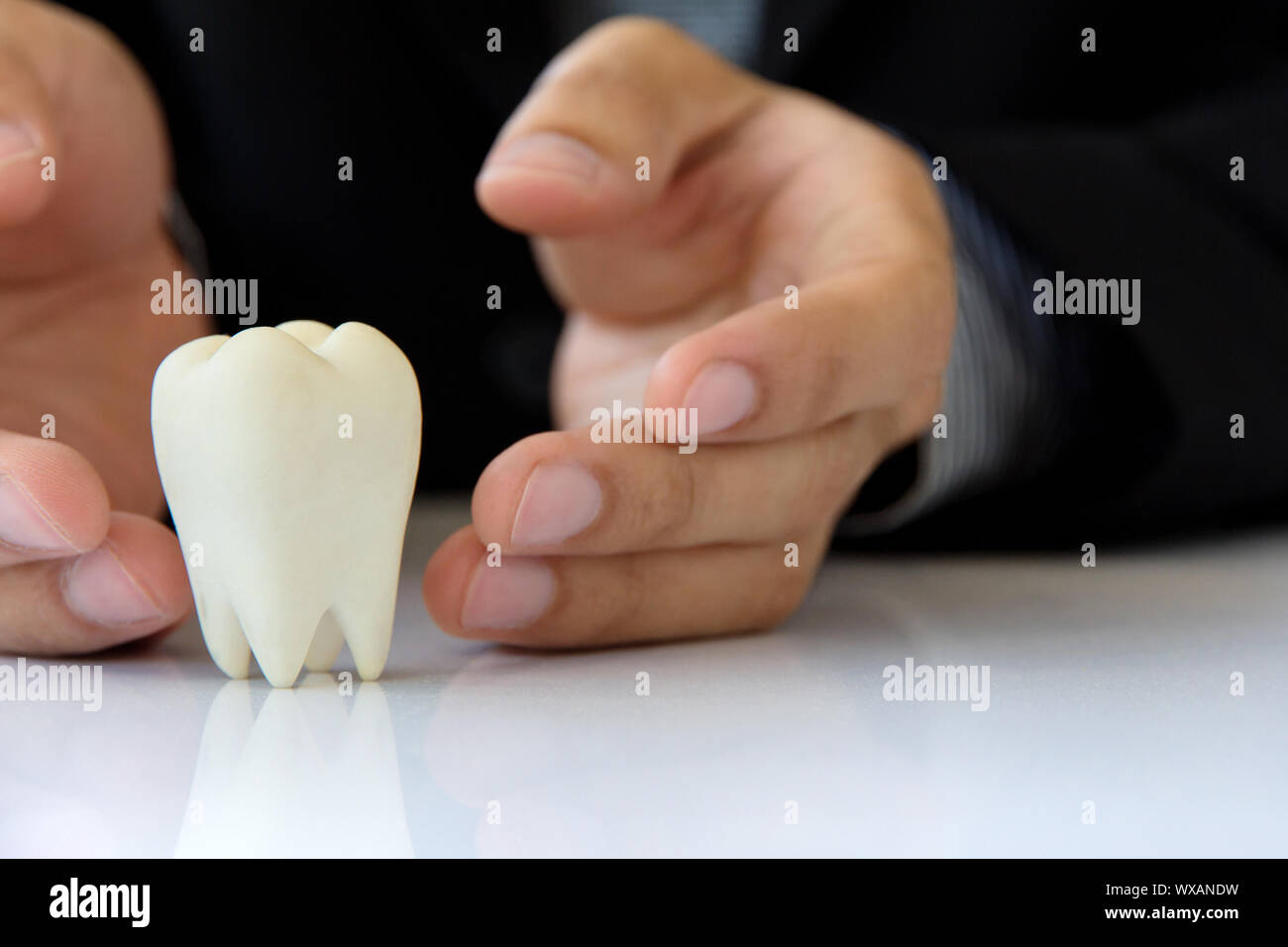 Hand holding molar,dental concept Stock Photo - Alamy