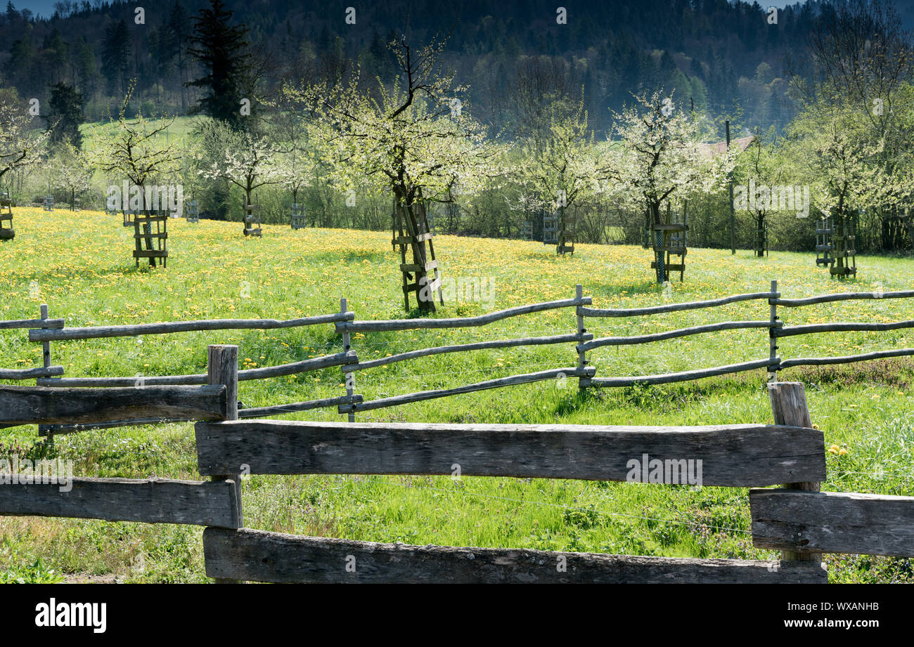 Fences And Trees High Resolution Stock Photography and Images - Alamy