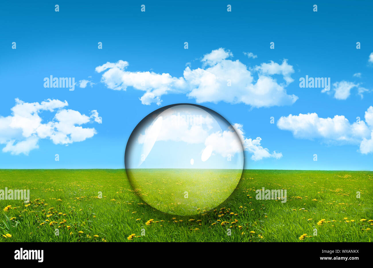 Glass sphere in a field of tall grass Stock Photo - Alamy