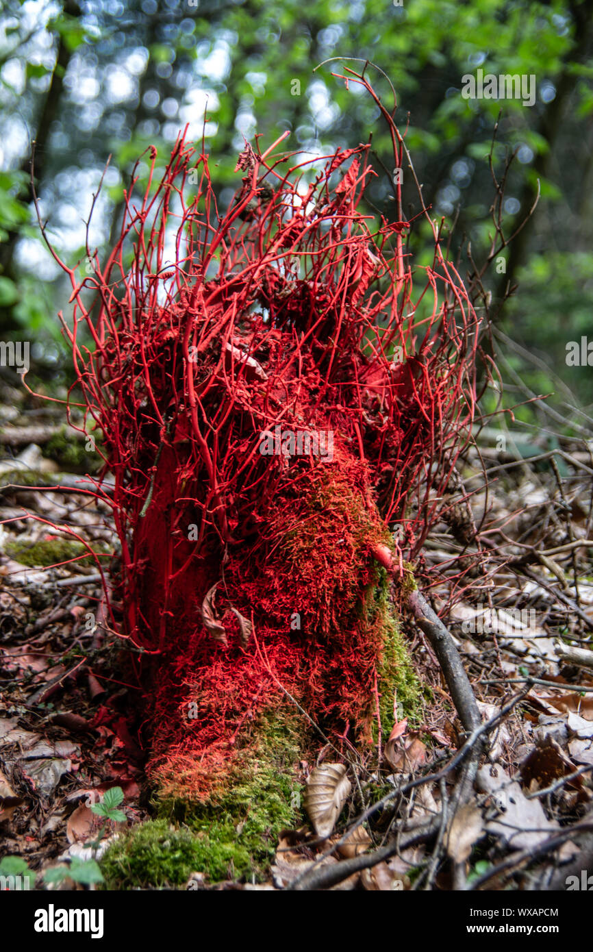 Nature forest green marker hi-res stock photography and images - Alamy