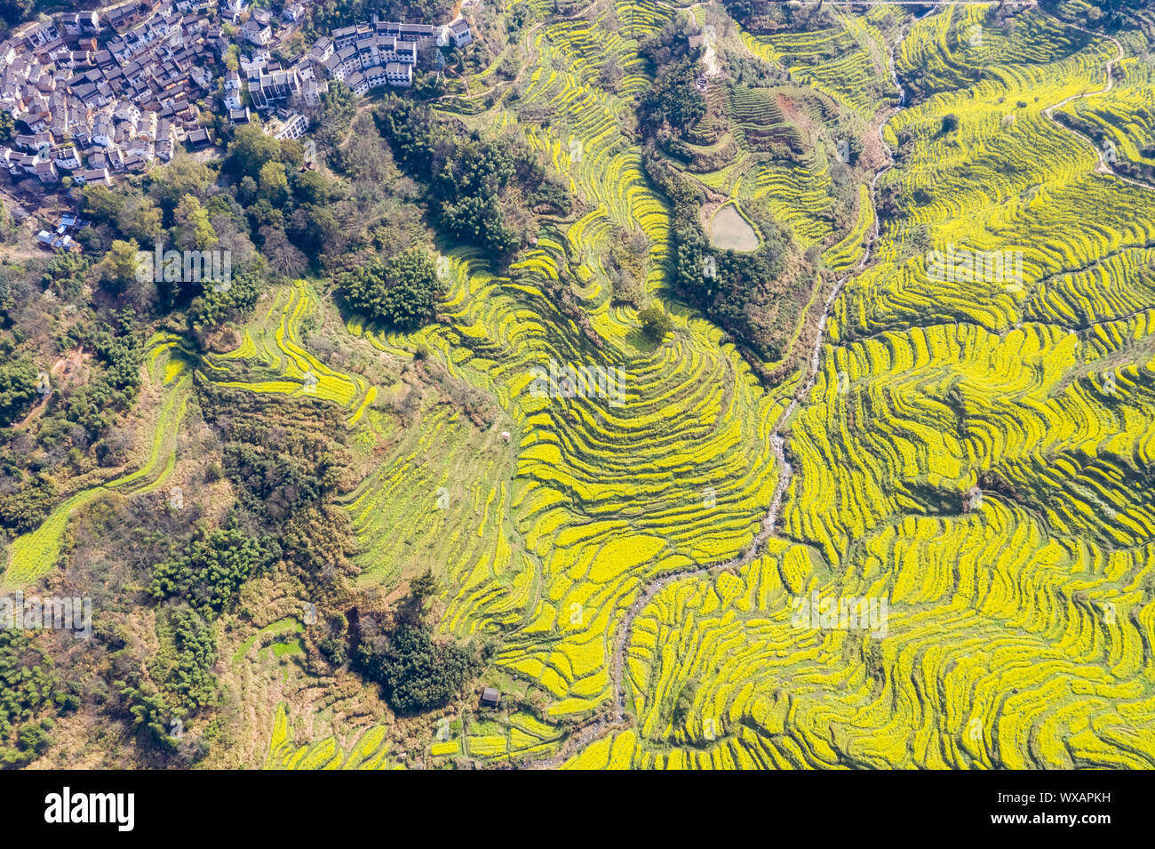 aerial view of beautiful spring on wuyuan huangling village Stock Photo ...