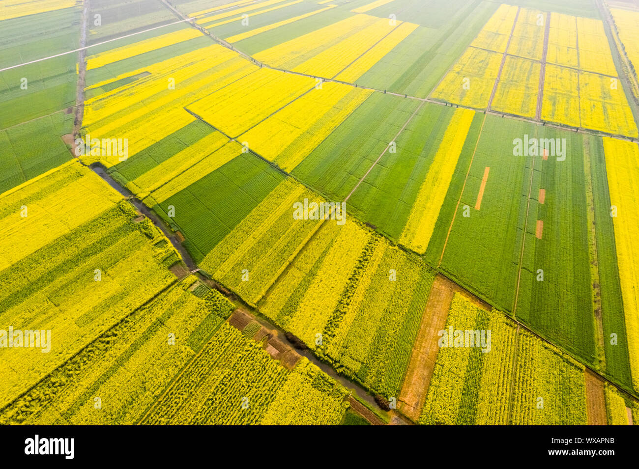 color of the earth in spring Stock Photo - Alamy
