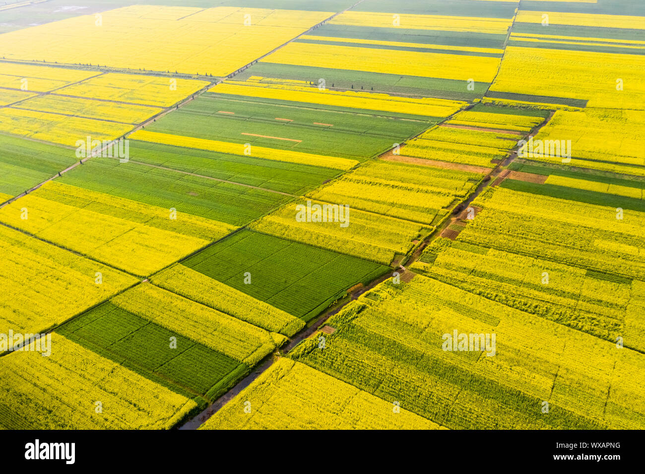 color of farmland in spring Stock Photo - Alamy