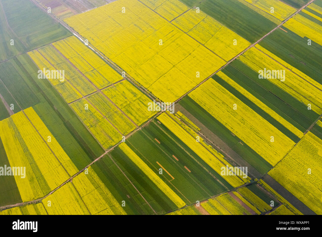 aerial view of color of farmland in spring Stock Photo - Alamy