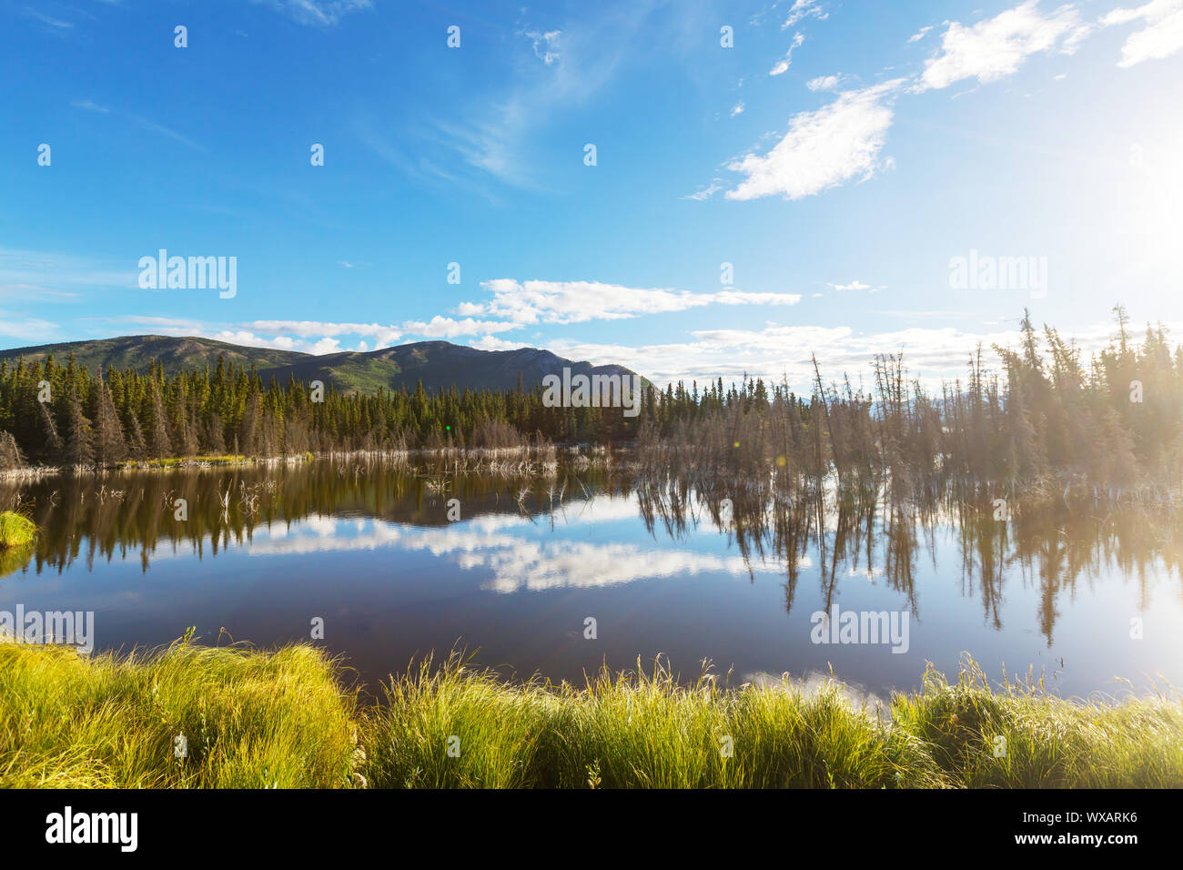 Lake in Alaska Stock Photo - Alamy