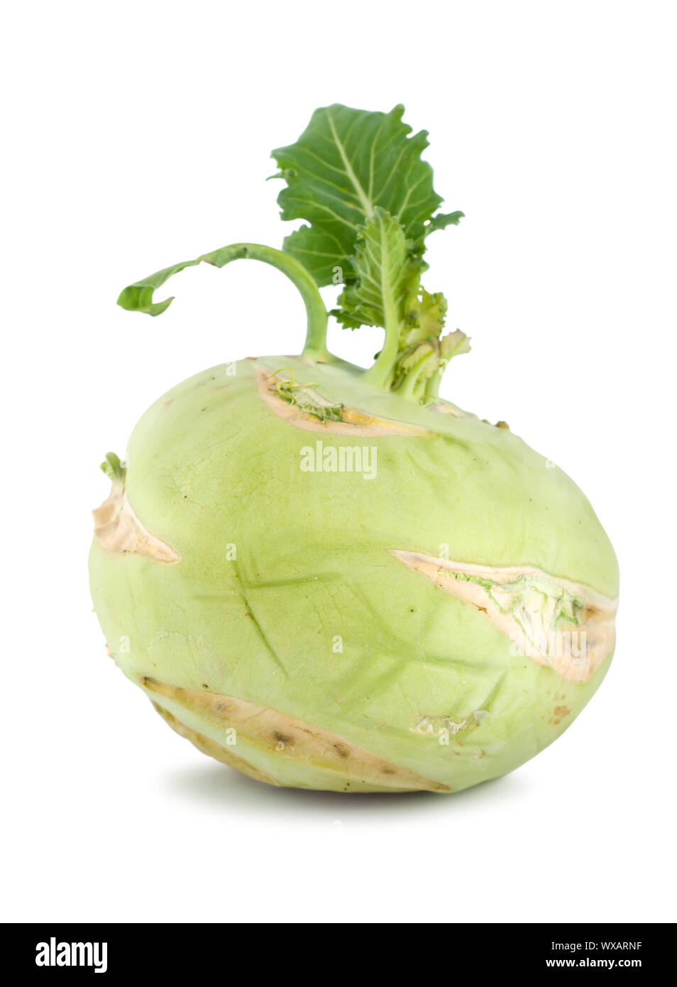 Cabbage kohlrab isolated on a white background Stock Photo - Alamy