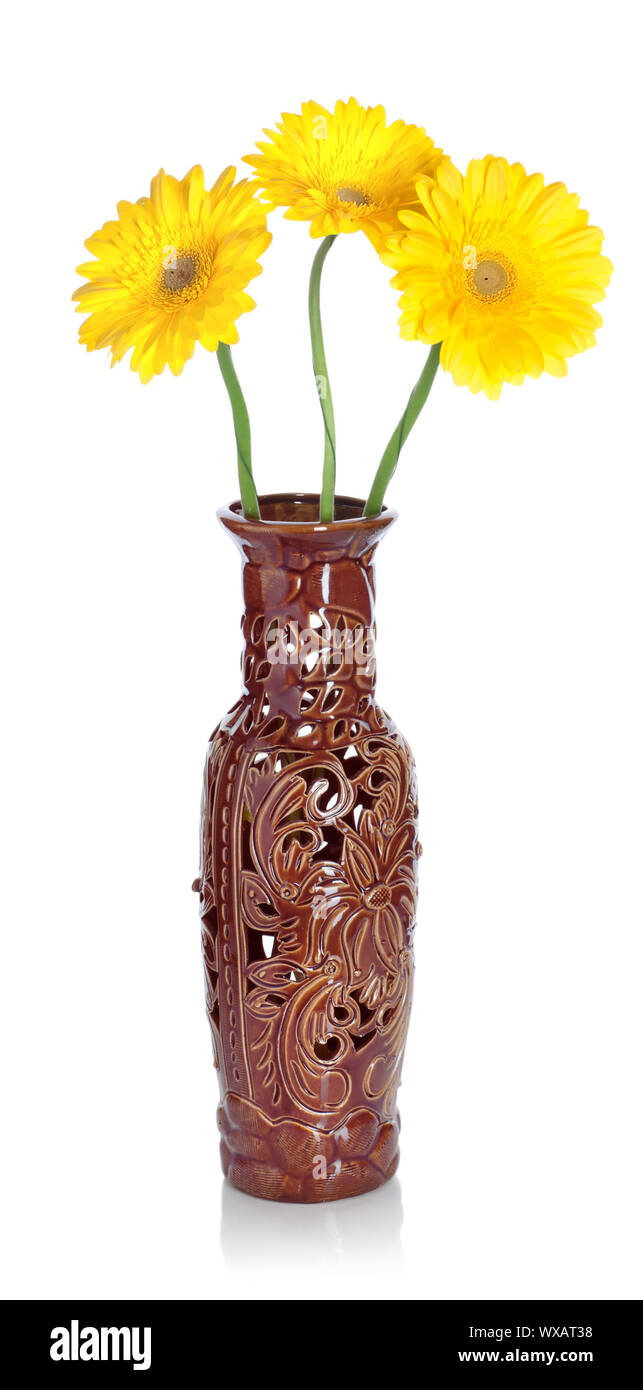 Gerbera in vase isolated on white background Stock Photo - Alamy