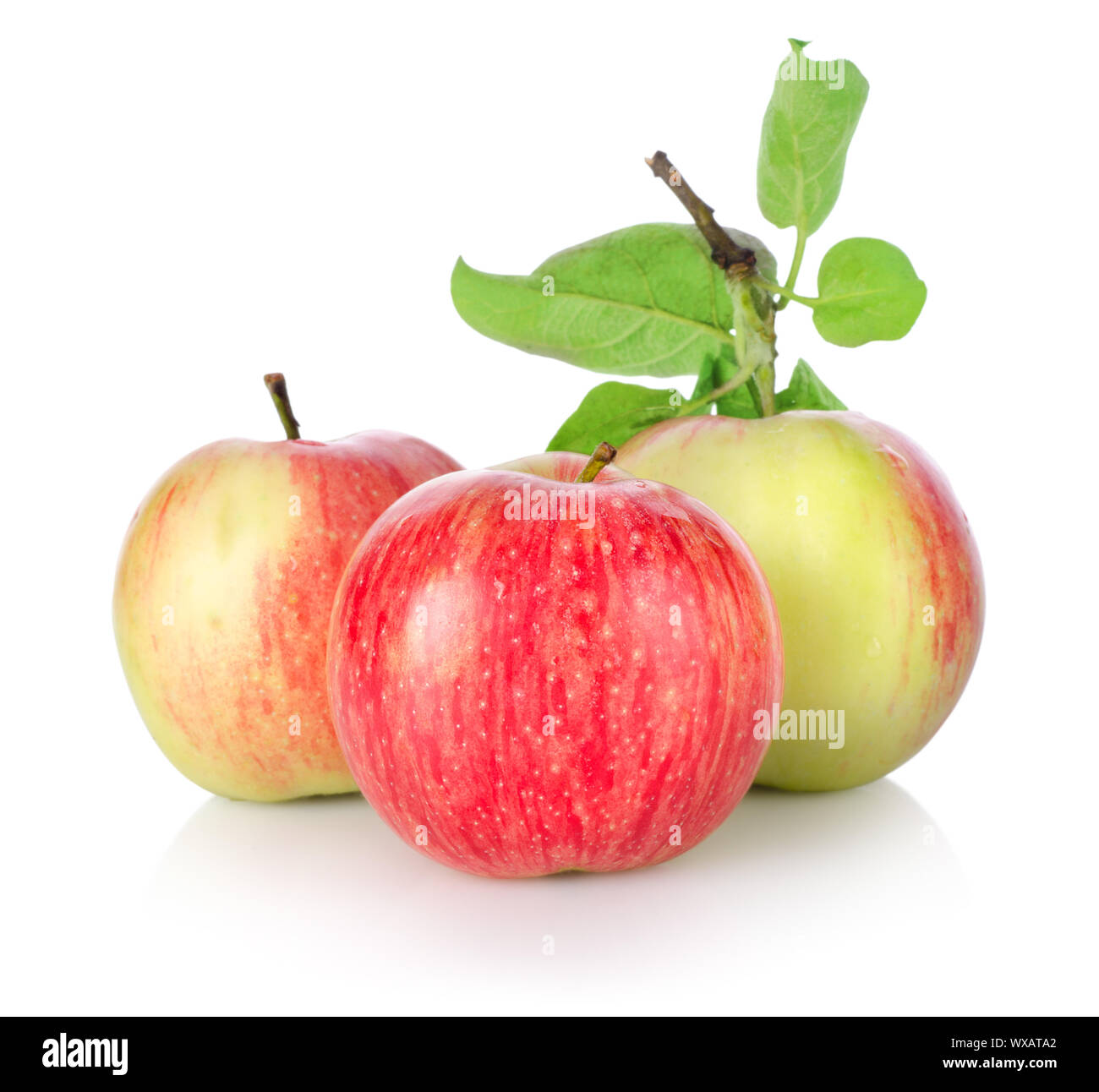 Three ripe apples isolated on a white background Stock Photo - Alamy