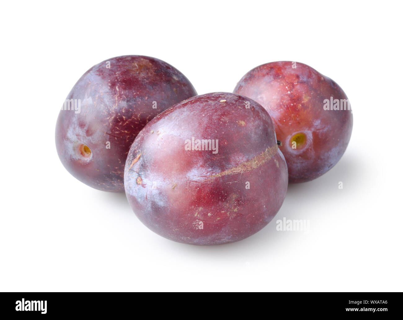 Three plums isolated on a white background Stock Photo - Alamy
