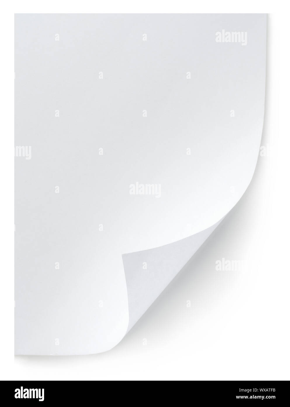 White paper sheet curled Cut Out Stock Images & Pictures - Alamy