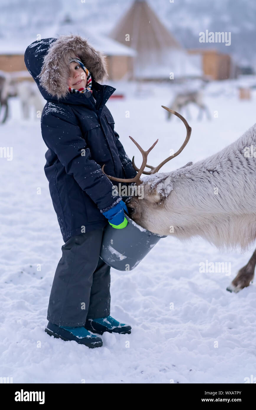 Little boy feeding reindeer in the winter Stock Photo - Alamy