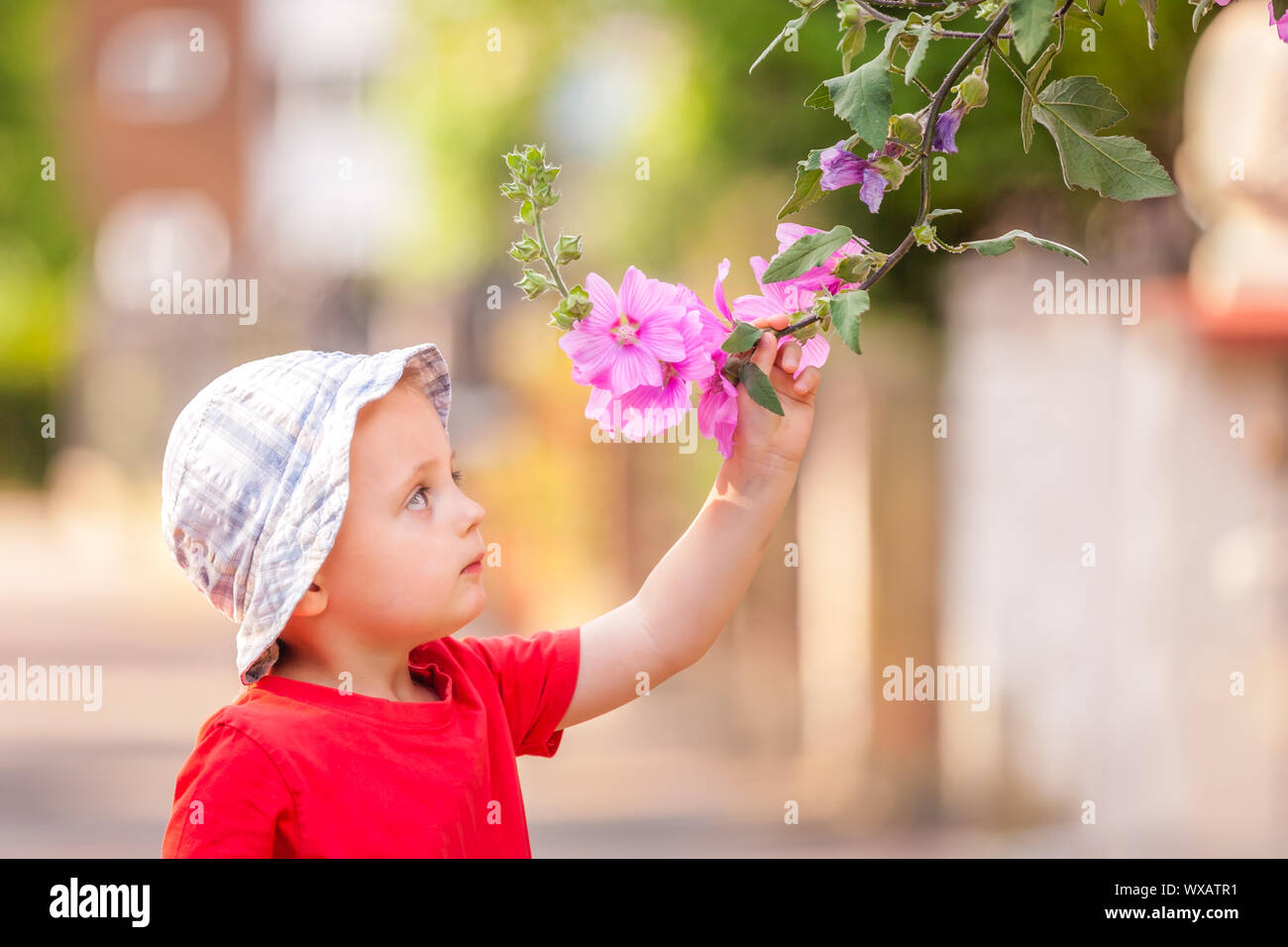 Child reaching flower hi-res stock photography and images - Alamy