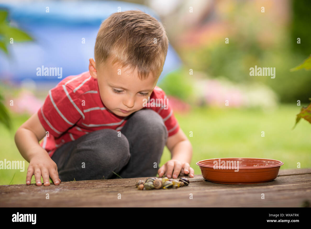 Child playing with snails hi-res stock photography and images - Alamy