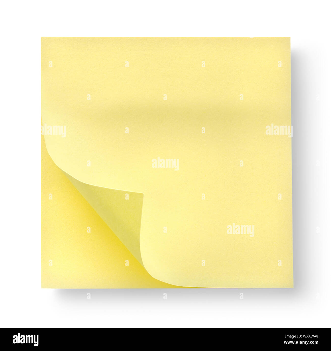 Notepad with shadow isolated on a white background Stock Photo - Alamy