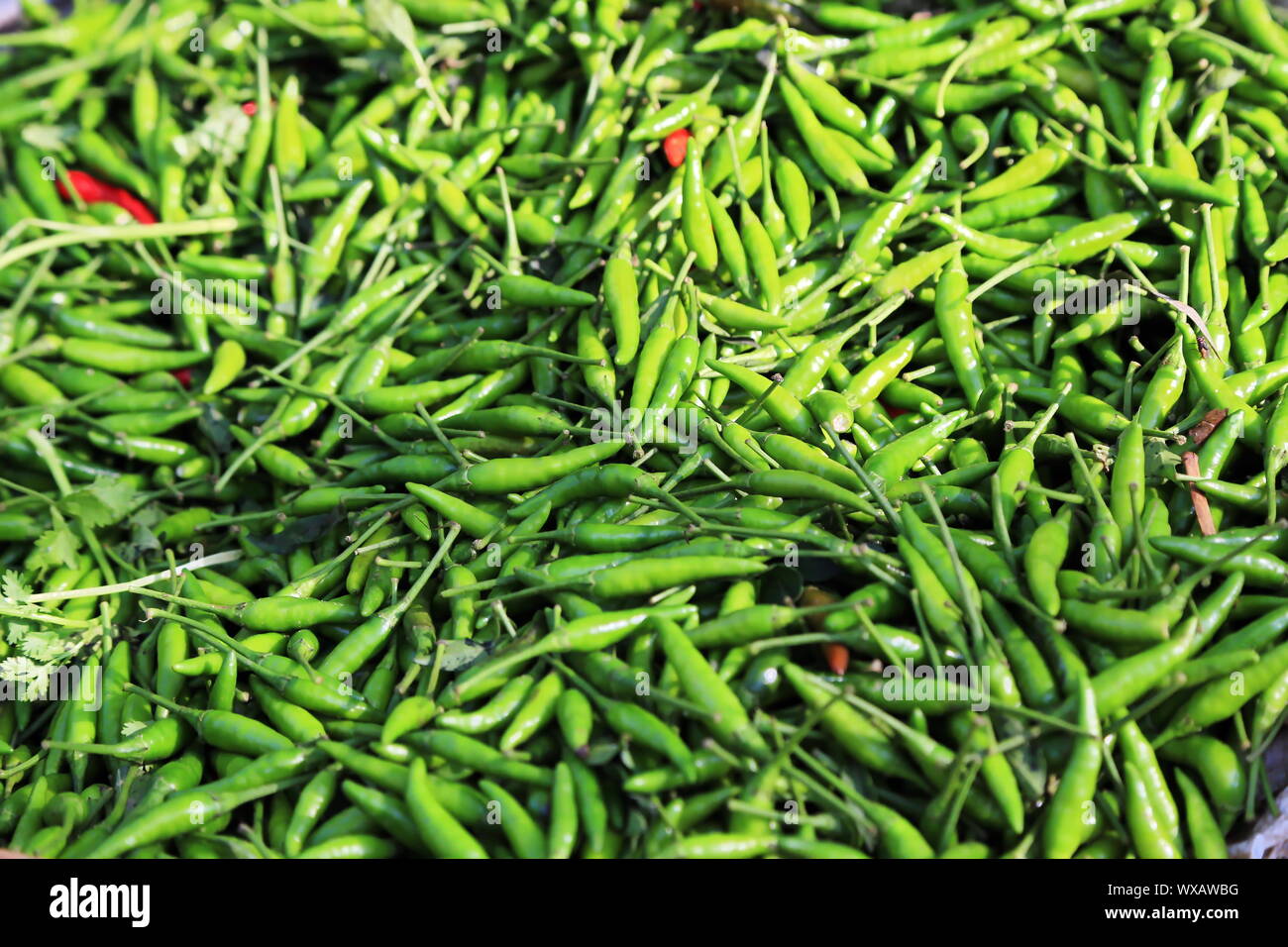 Mani Sithu Market Stock Photo - Alamy