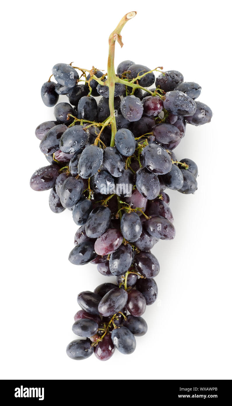 Dark blue grapes Cut Out Stock Images & Pictures - Alamy